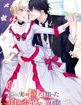 MAD MINISCAPE_漫画最新章节免费阅读(下拉式)-粉漫屋